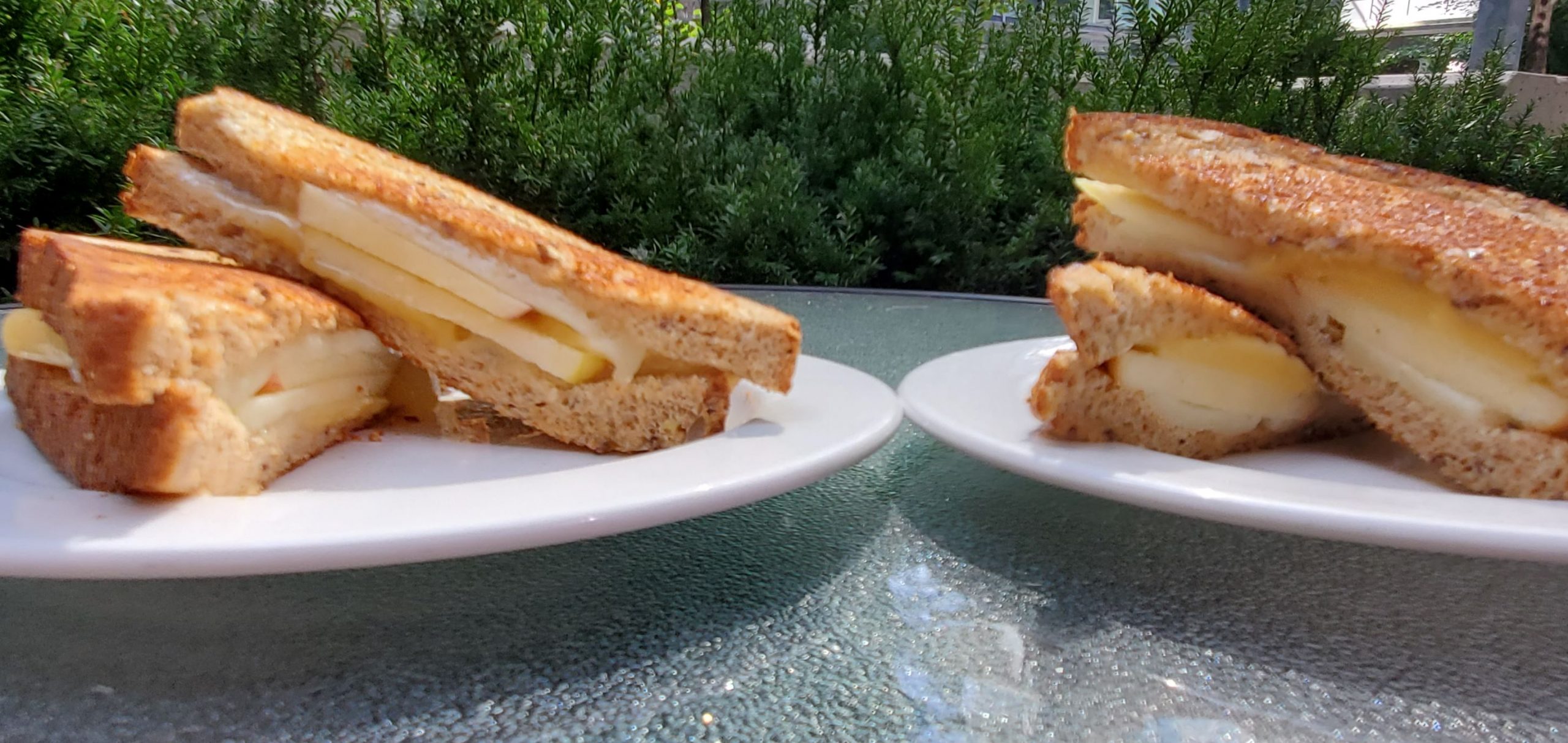 Simple Apple Grilled Cheese Sandwich - MyRealLifeTips